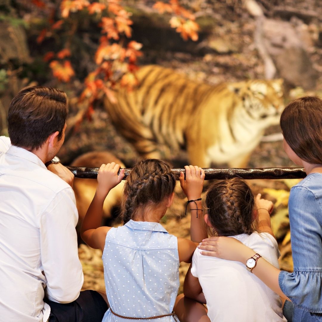 4 Fun Ways To Keep Your Child Learning This Summer - PEL Learning Centers